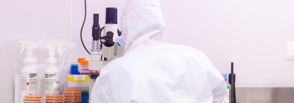 Covid-19 and the EBMT registry | EBMT