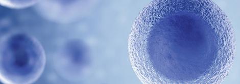 Ebmt Eha 6th Car T Cell Meeting 2024 Poster Template Ebmt